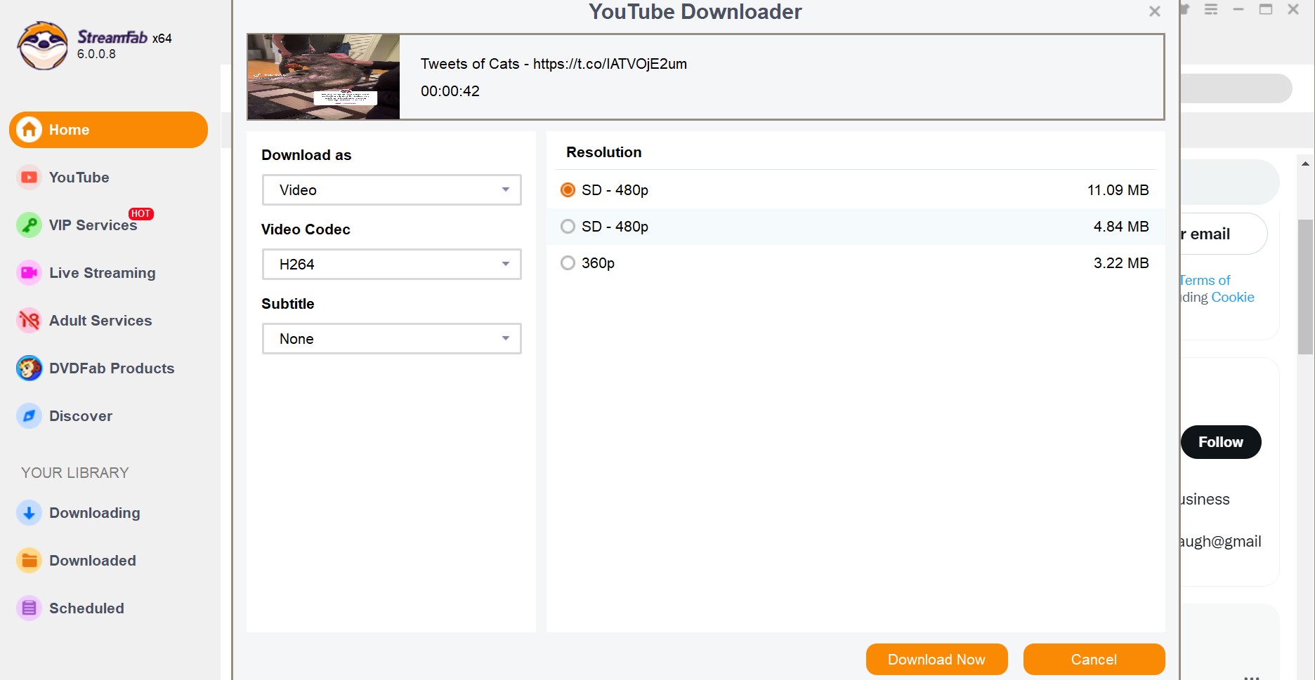Read before You Find Any Twitter Porn Accounts